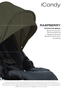 iCandy Raspberry Instruction Manual